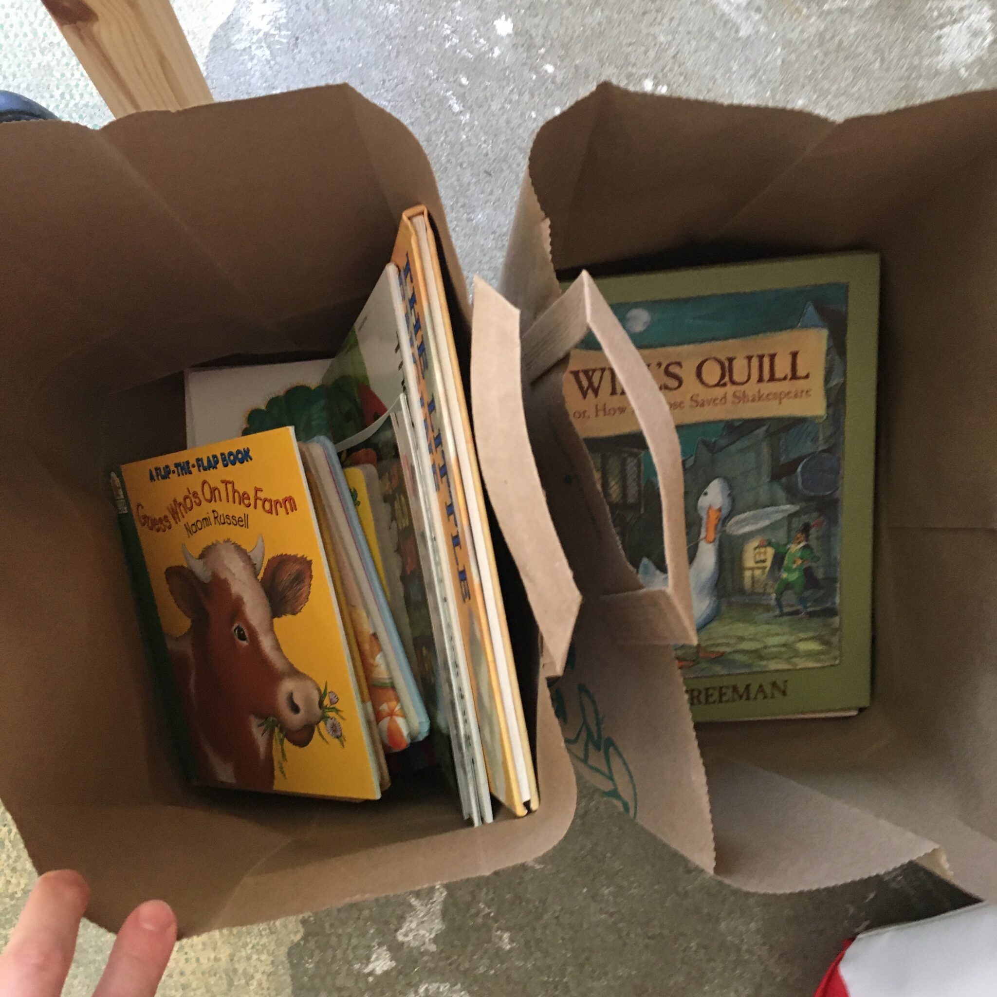 How to Buy Books at Libraries, Tips from Beehive Books and Art