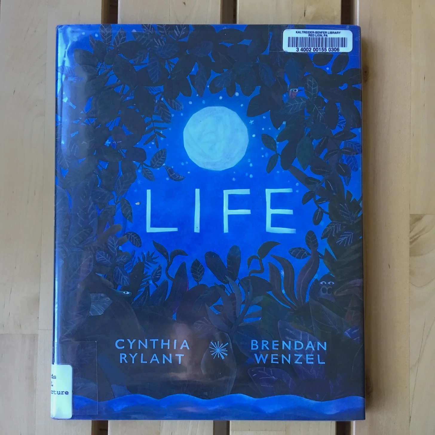 Life - A Book To Touch the Soul - Beehive Books and Art